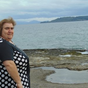 Women’s Royal Tee XS-5X – LittleKiwisCloset